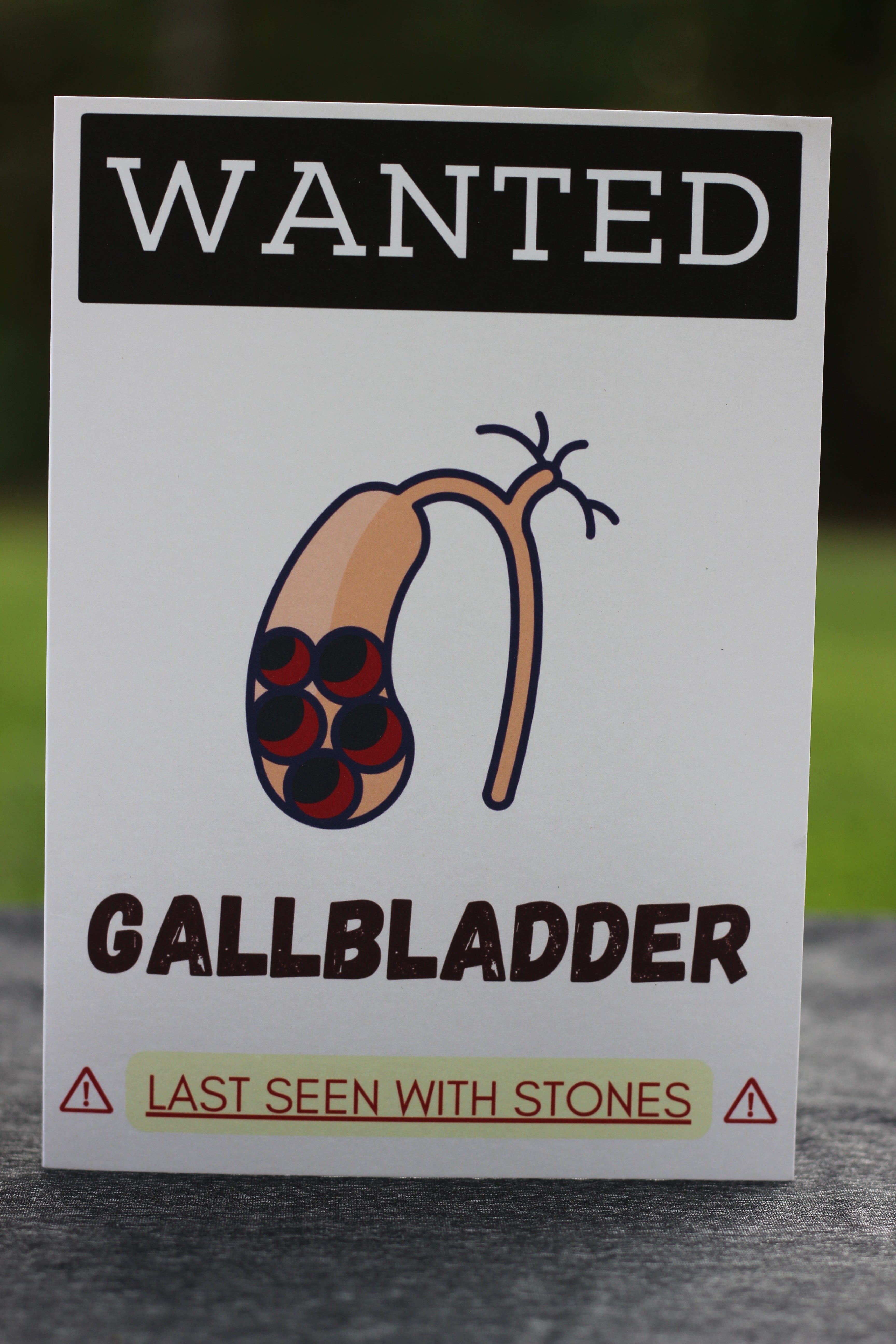 Wanted - Gallbladder – Adnira